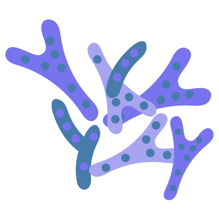 Bifidobacterium longum - Nutrapie